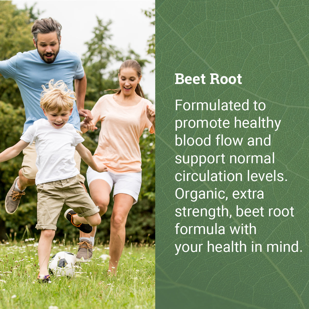 Beet Root Blend – Earth Harmony Retail